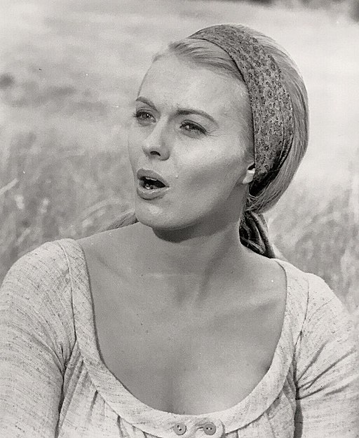 Jean Seberg - Biography and analysis of her career - Personal life