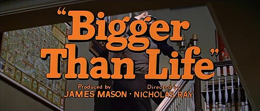 Nicholas Ray - Biography and anlysis of his career as movie director