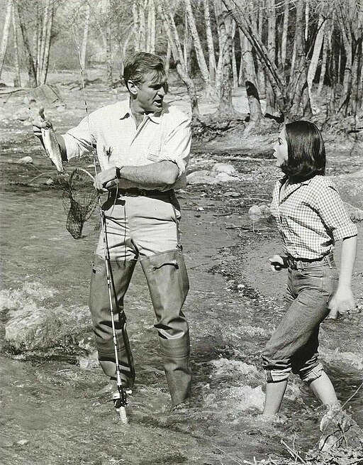 Rod Taylor - Biography & Analysis of his career as actor