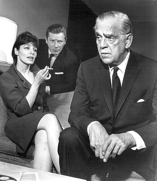 Biography of actor Richard Basehart - All his movies