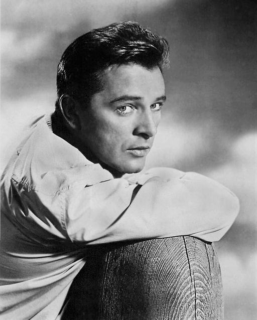 Richard Burton - Biography and career analysis - All his movies